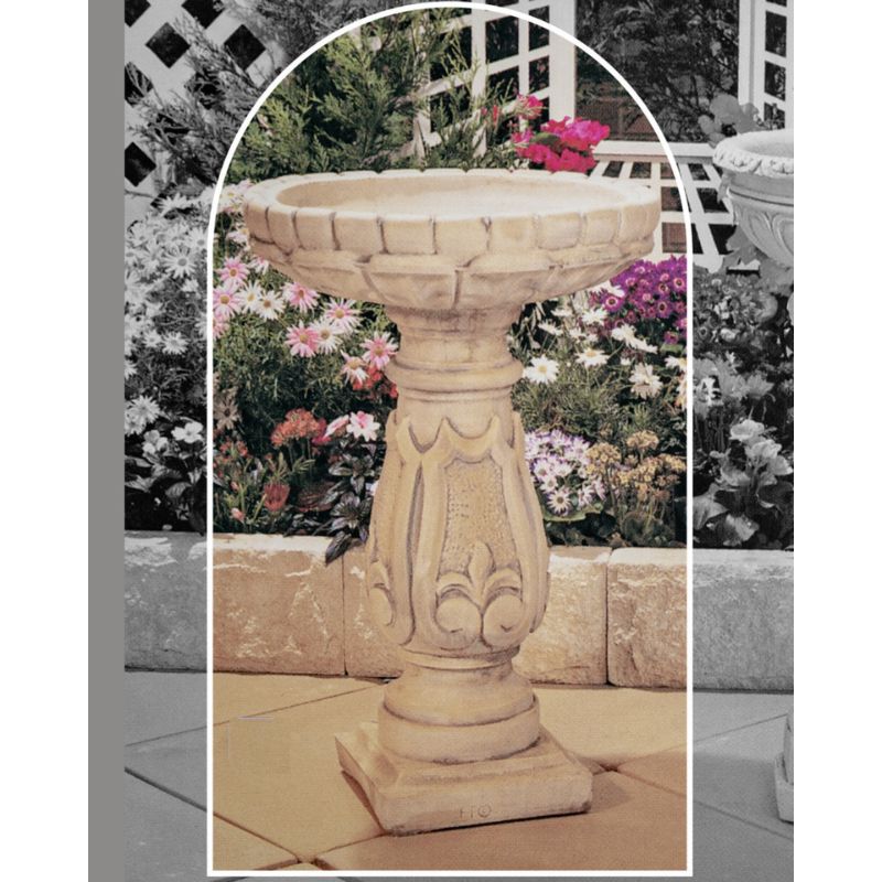 The Art and Science of Bird Baths: Attracting a Diverse Array of Birds ...