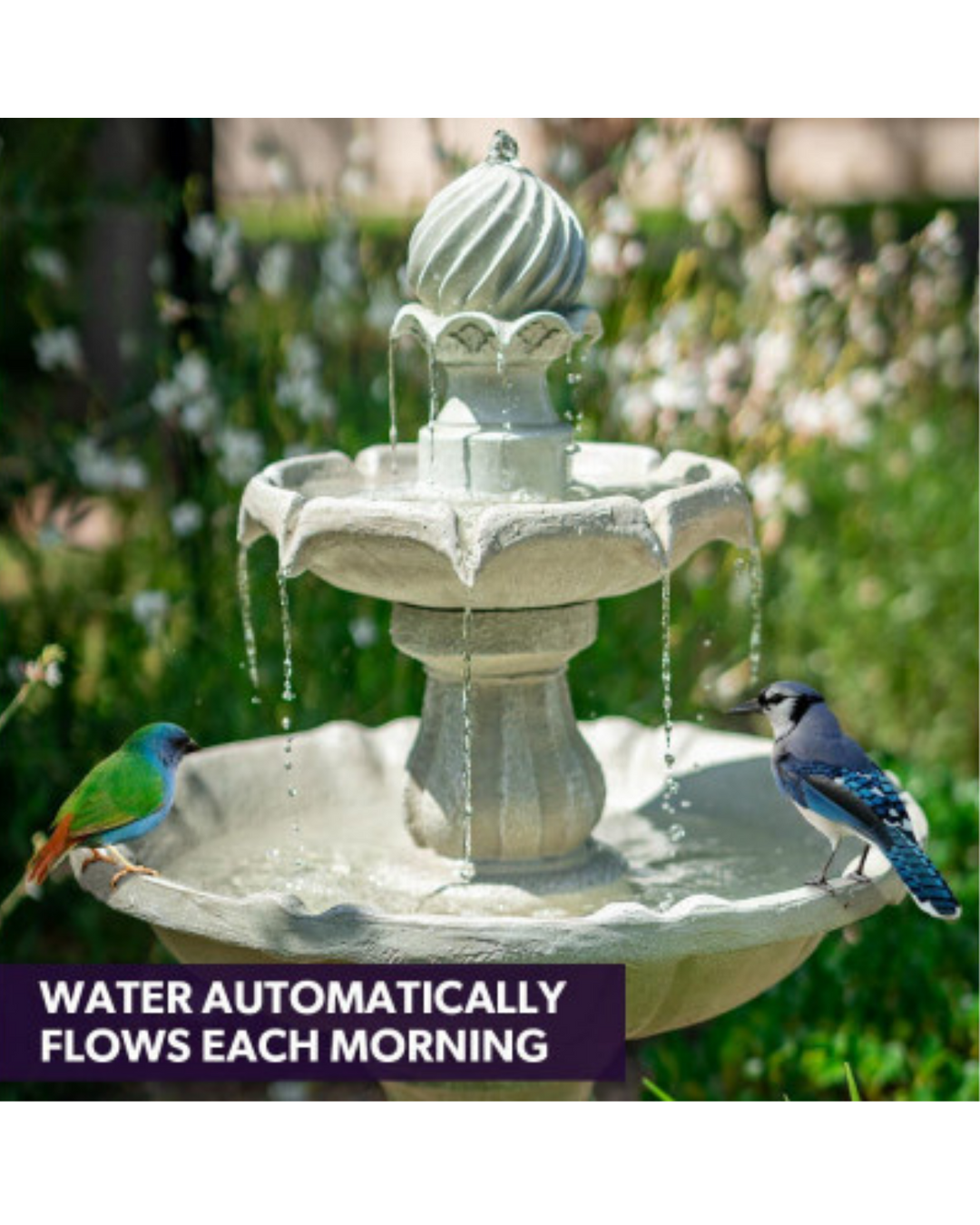 Bird Bath Fountains I Australia – Water Features Adore